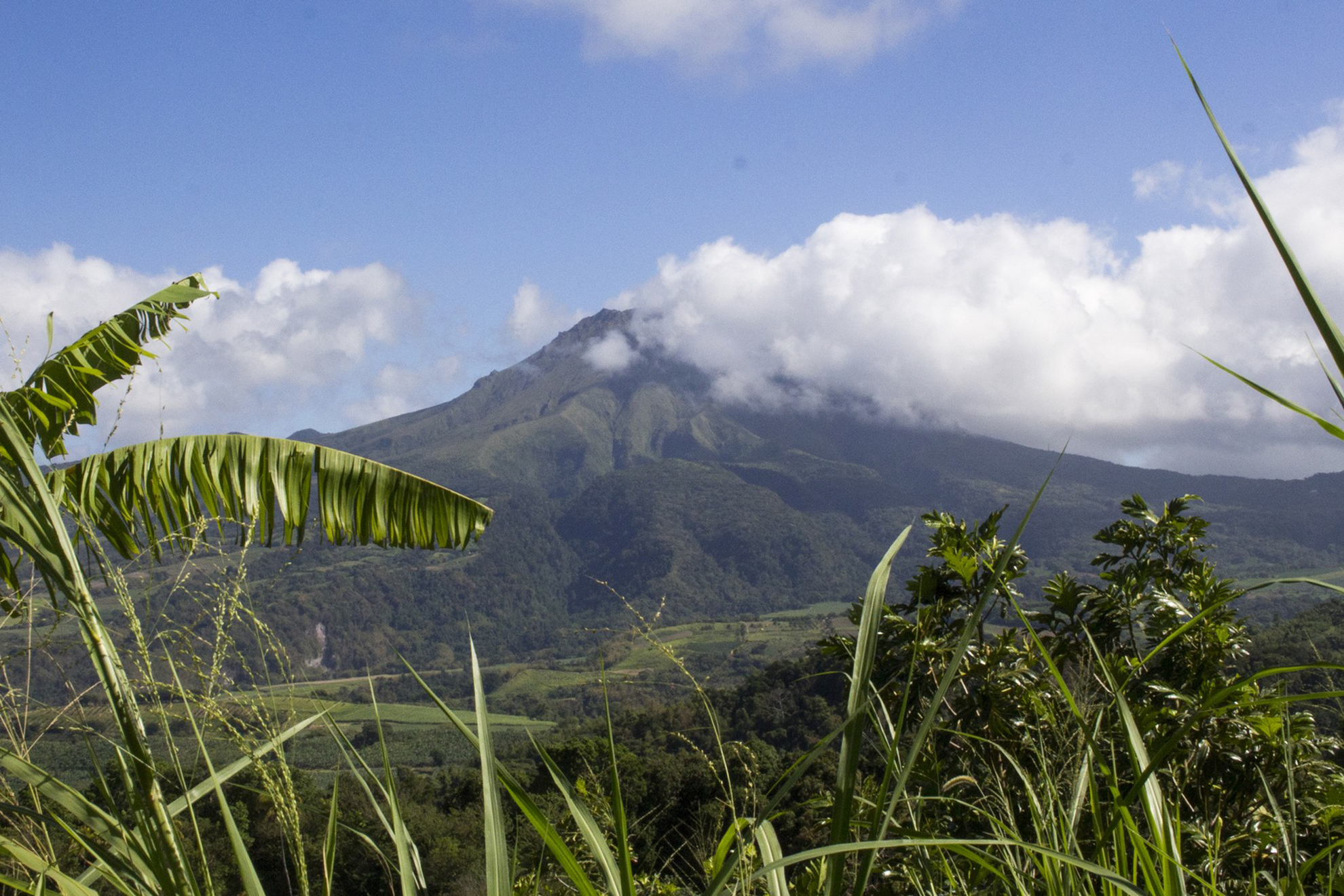 OVSM-IPGP recommends Mount Pelée to be placed under yellow volcanic ...