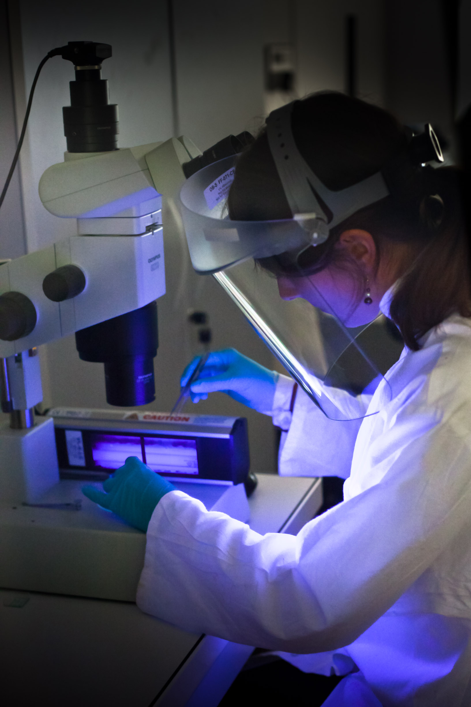 Partners - Institut de Physique du Globe de Paris