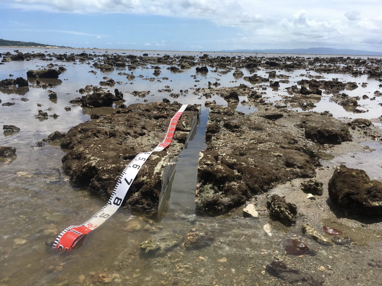 Millennial seismic supercycles revealed in the Ryukyu subduction zone ...